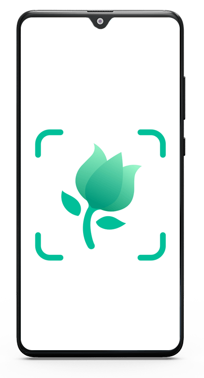 How Much Does It Cost To Make, Develop, Create And Build An App Like ...