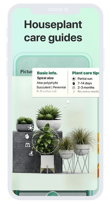 How Much Does It Cost To Make, Develop, Create And Build An App Like ...