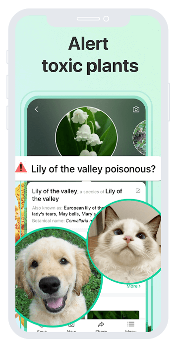 How Much Does It Cost To Make, Develop, Create And Build An App Like ...